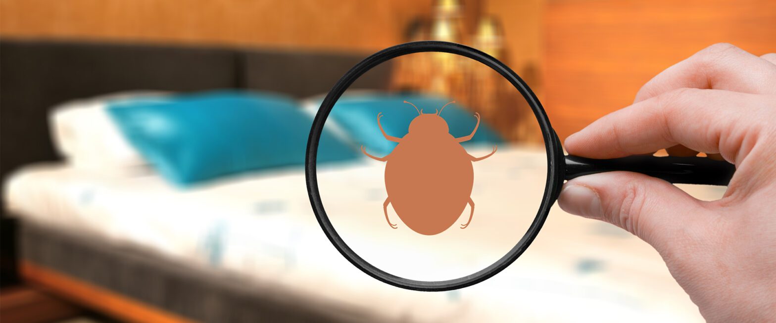 Bed Bug Extermination | Jersey Shore | Pest Control