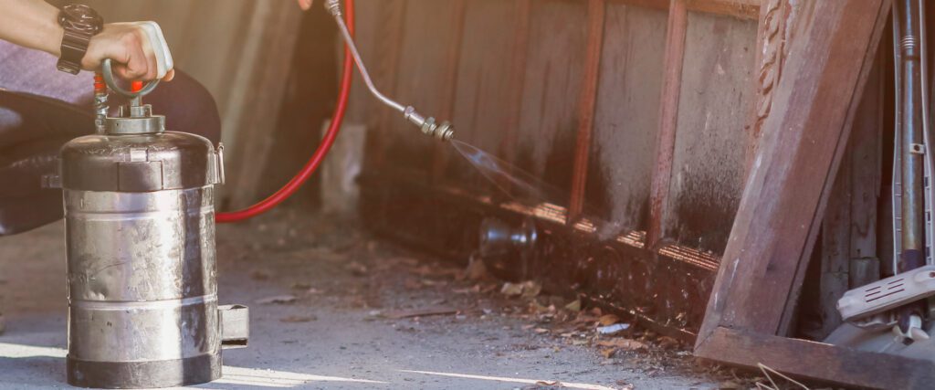Termite Extermination | Jersey Shore | Pest Control